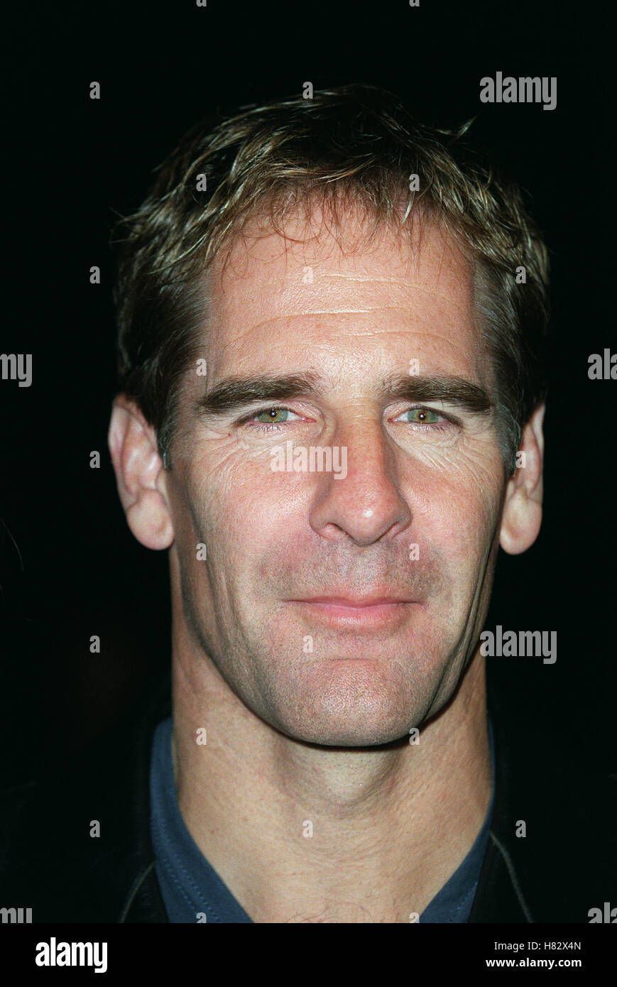 Scott Bakula Portrait High Resolution Stock Photography and Images - Alamy