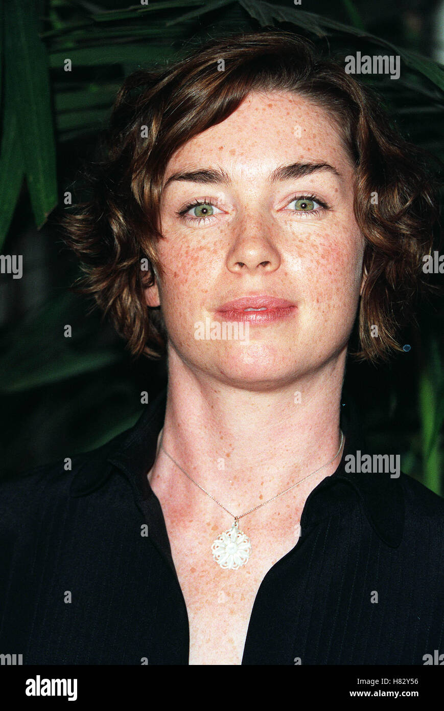 JULIANNE NICHOLSON FULFILMENT AWARDS LA HOLLYWOOD LA USA 08 November ...