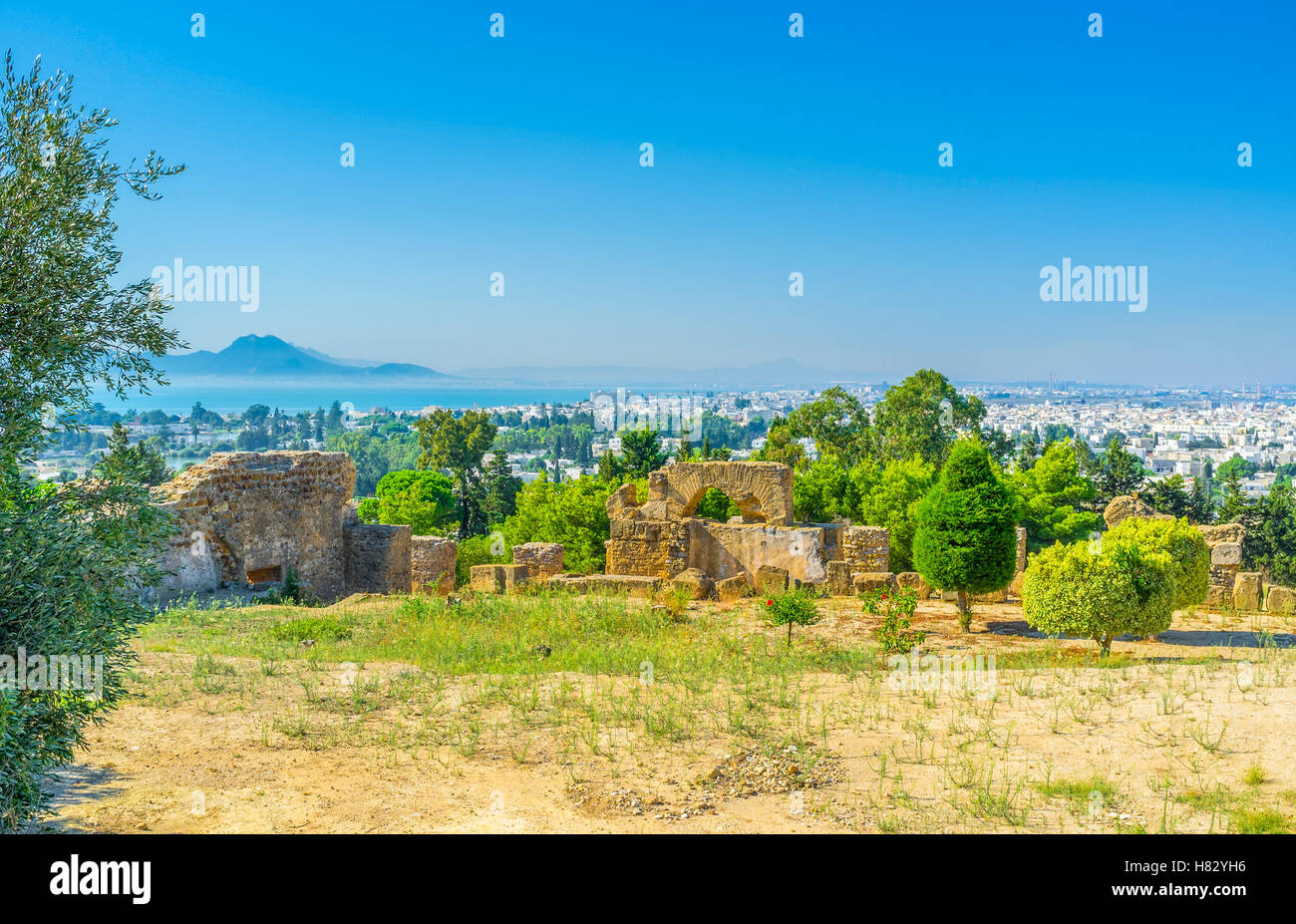 The Byrsa Hill is the best place to discover the ancient history of ...