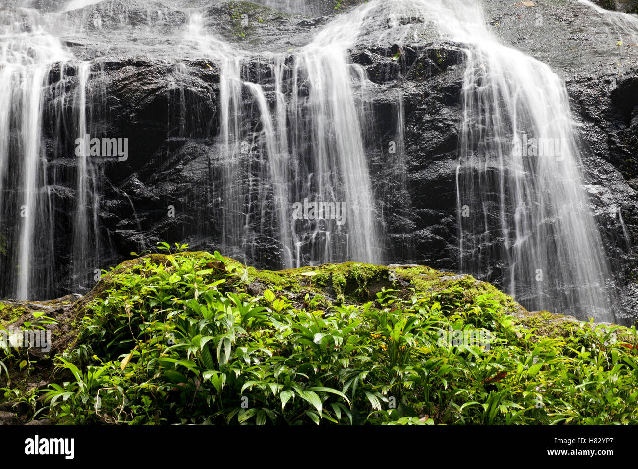 Waterfall in Brownsberg Nature Park, Surinam Stock Photo - Alamy