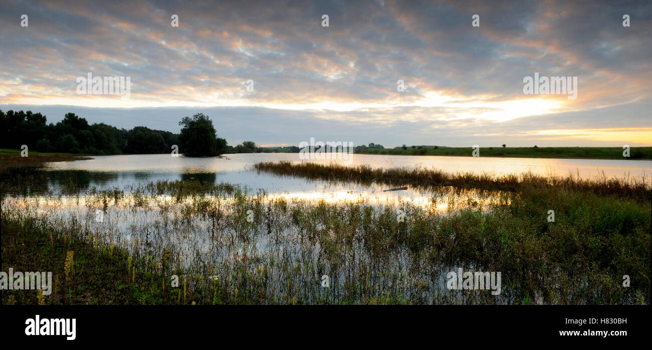 Sunrise over swamp landscape, Doesburg, Netherlands Stock Photo - Alamy