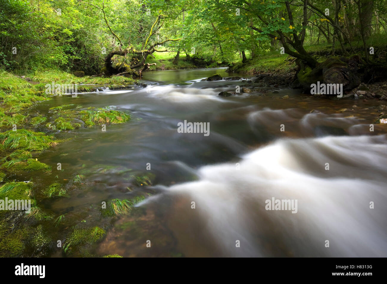 Brecon Beacons waterfall, Wales, England Stock Photo - Alamy