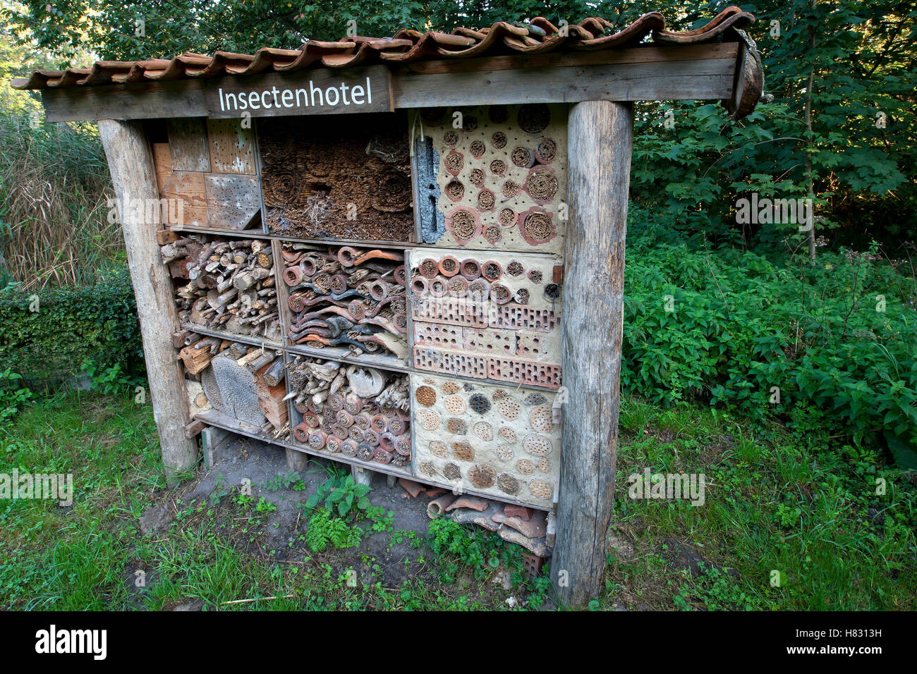 Nesting boxes for various types of bees, Woumen, Belgium Stock Photo ...