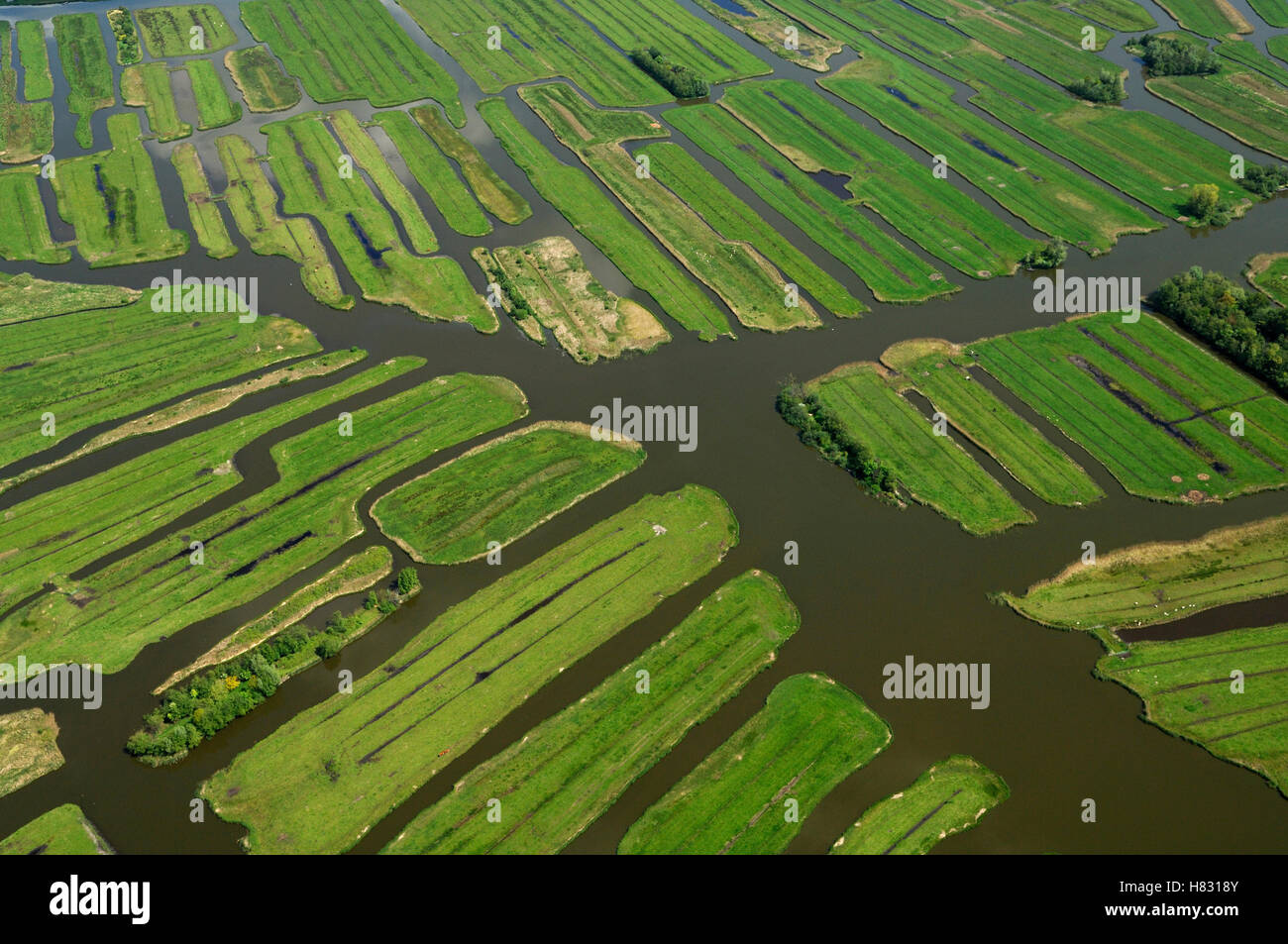 Channels through fields, Jisp, Netherlands Stock Photo - Alamy
