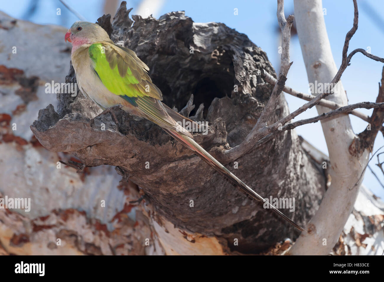 Neale junction nature reserve hi-res stock photography and images - Alamy