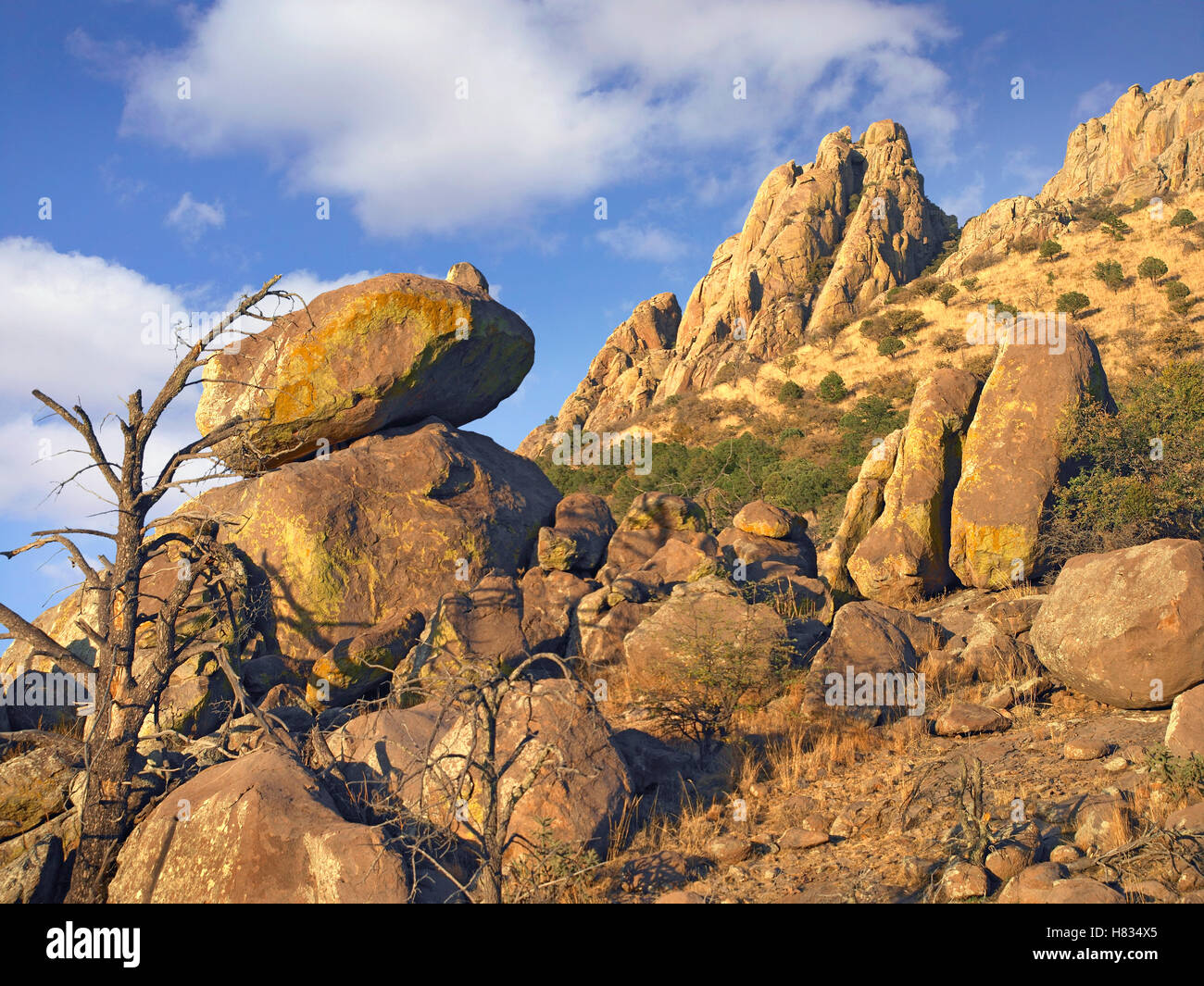 Rockpile, Davis Mountains, Chihuahuan Desert, Texas Stock Photo - Alamy