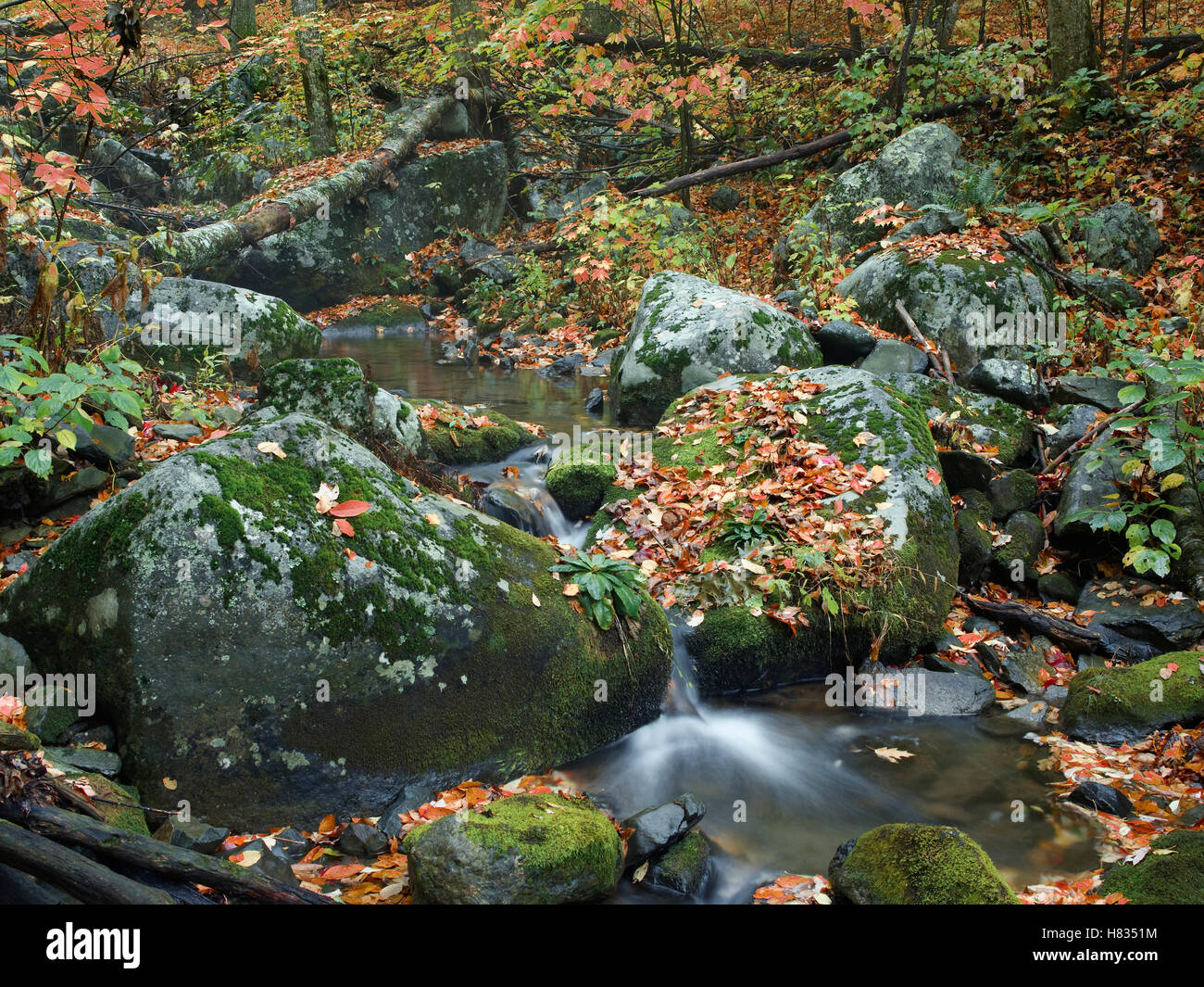 Rose River, Shenandoah National Park, Virginia Stock Photo - Alamy