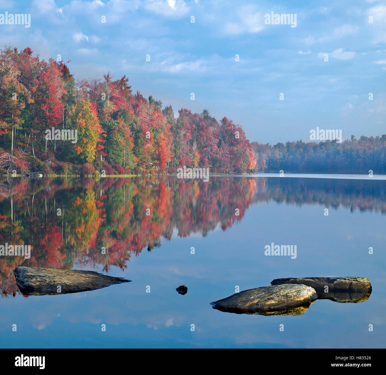 Deciduous forest in autumn along Lake Jean, Ricketts Glen State Park ...