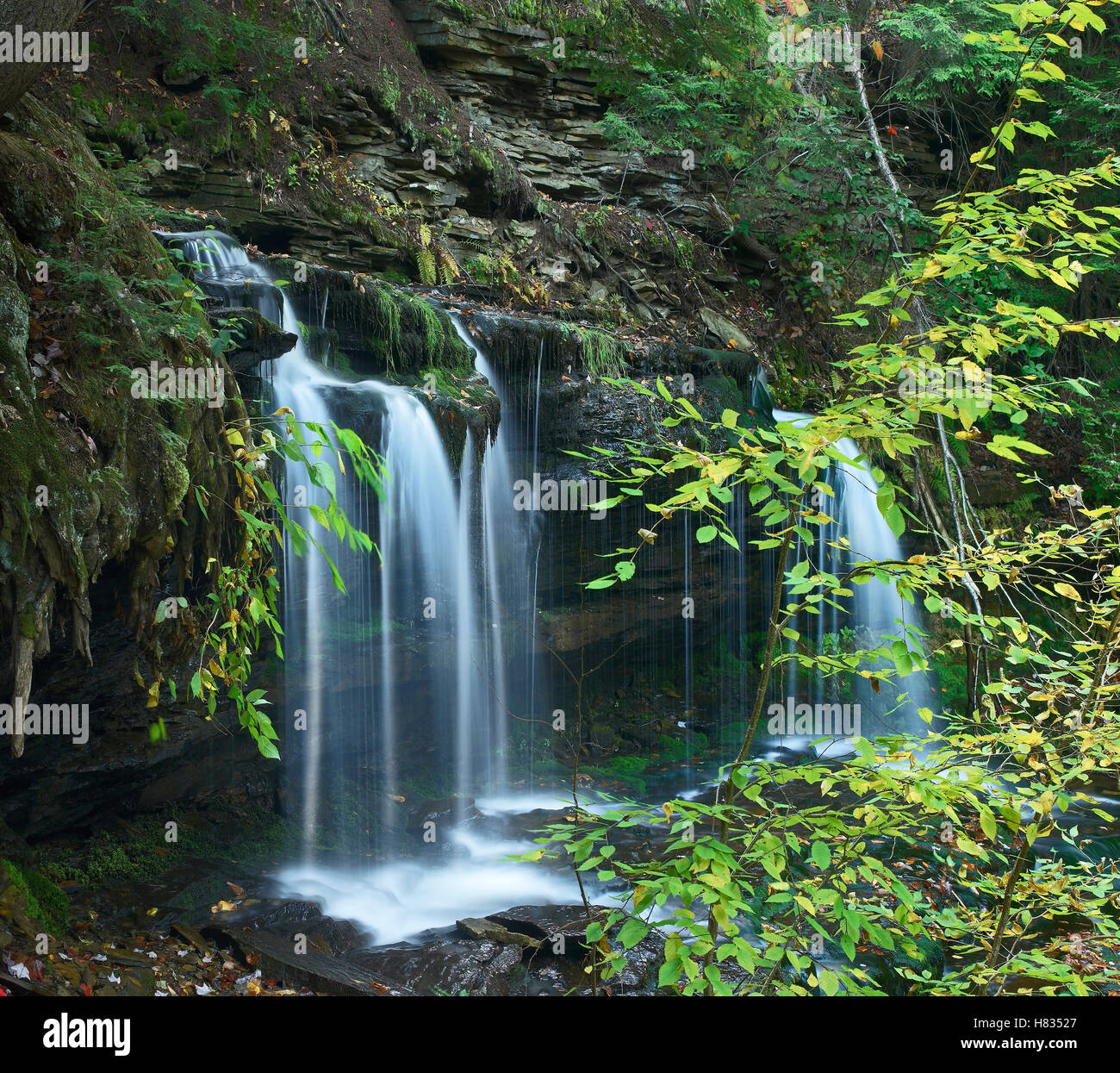 Oneida Falls, Ricketts Glen State Park, Pennsylvania Stock Photo - Alamy