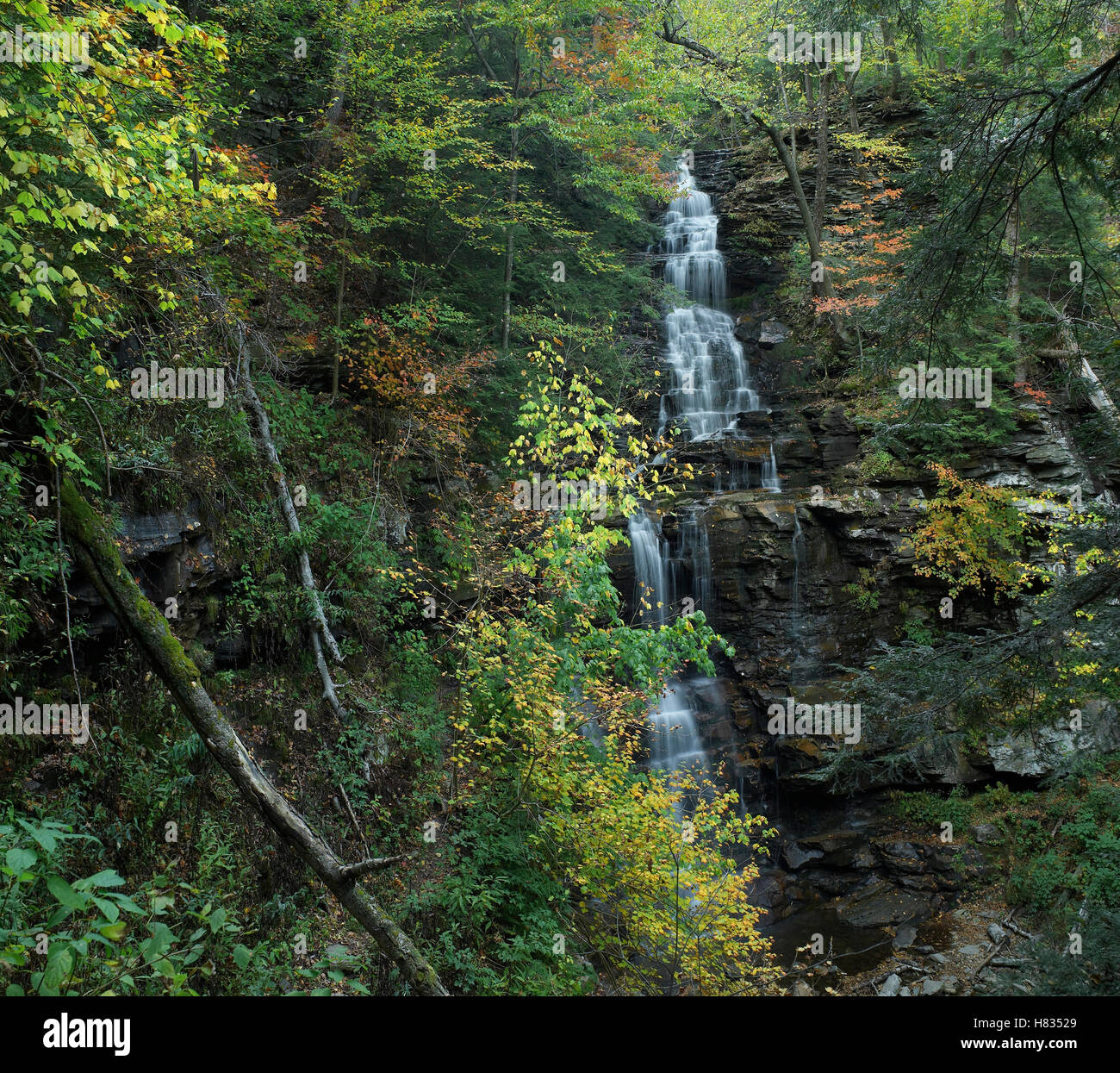 Ganoga Falls, Ricketts Glen State Park, Pennsylvania Stock Photo - Alamy