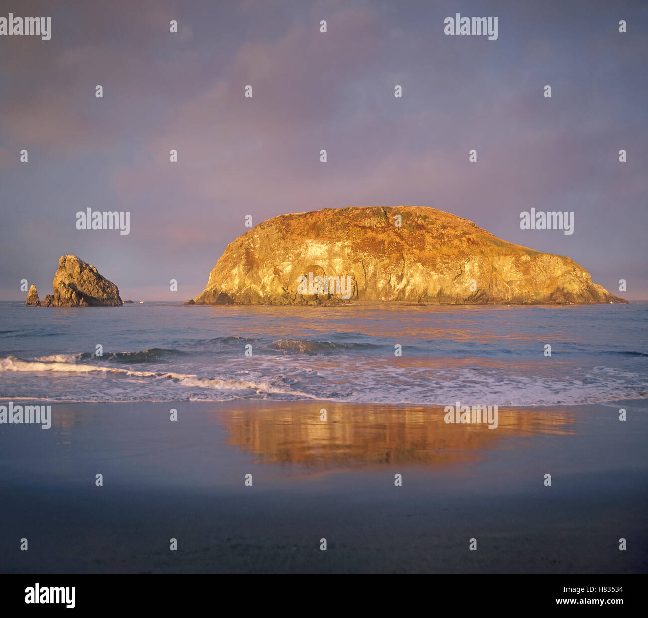 Island, Harris Beach State Park, Oregon Stock Photo - Alamy