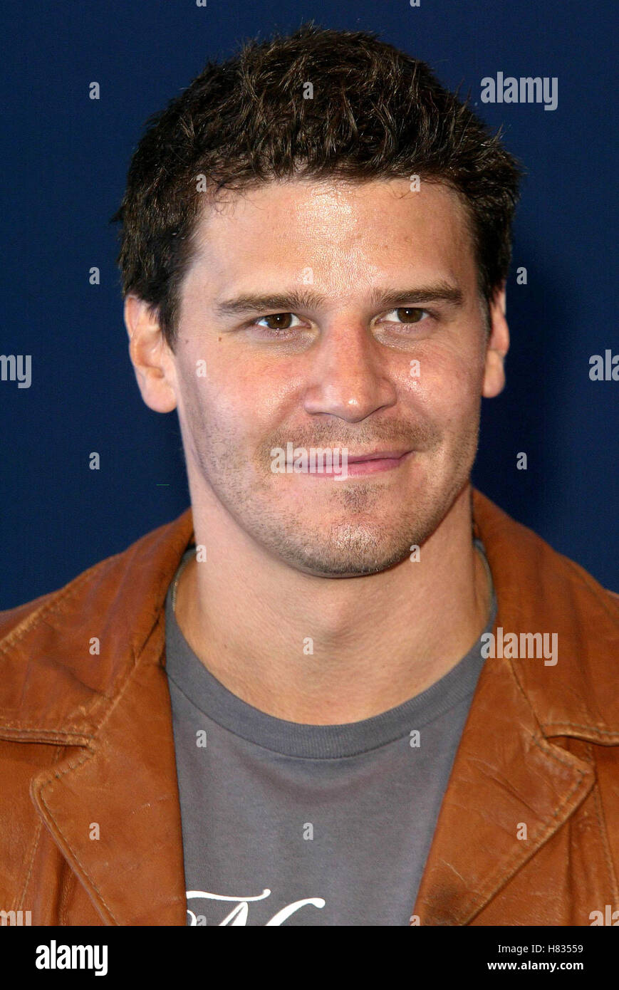 David boreanaz hi-res stock photography and images - Alamy