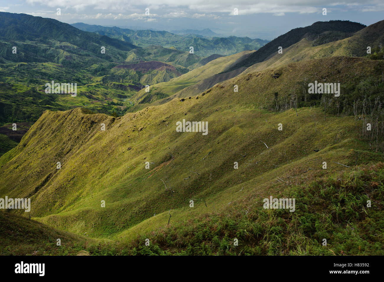 Clear cut mountains, Mount Kiamo, Mindanao Island, Philippines Stock ...
