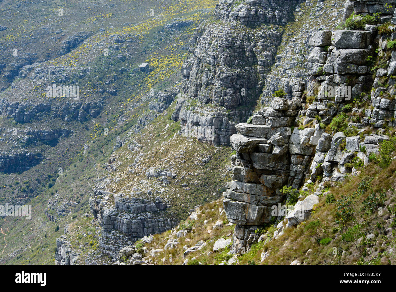 Sandstone cliffs, Table Mountain, Cape Town, South Africa Stock Photo ...
