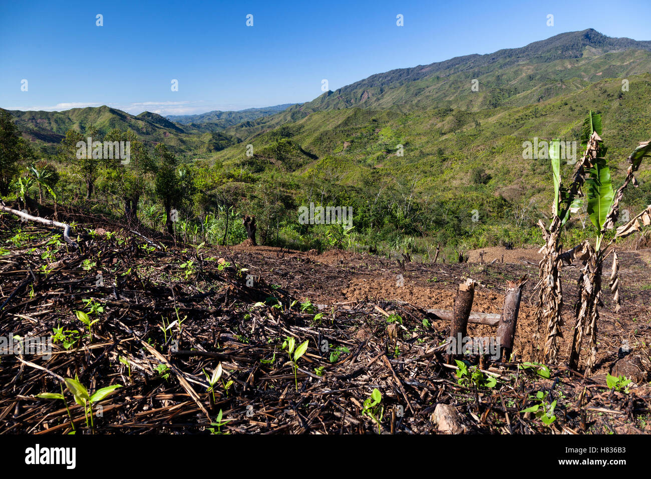 Slash and burn agriculture in central highlands, Madagascar Stock Photo ...