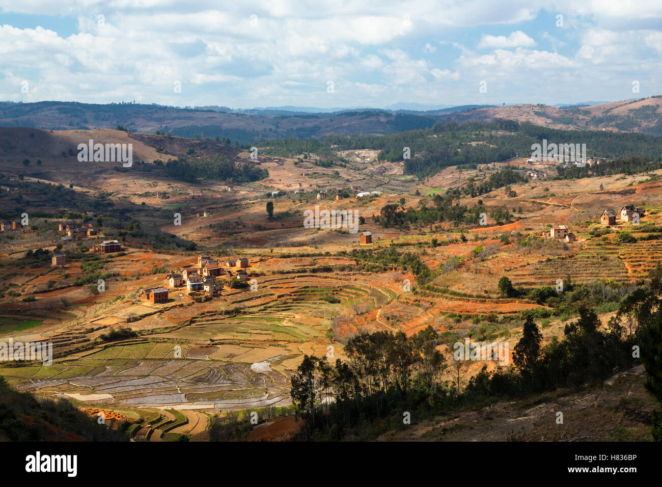 Rice (Oryza sativa) terraces and villages in highlands, Madagascar ...