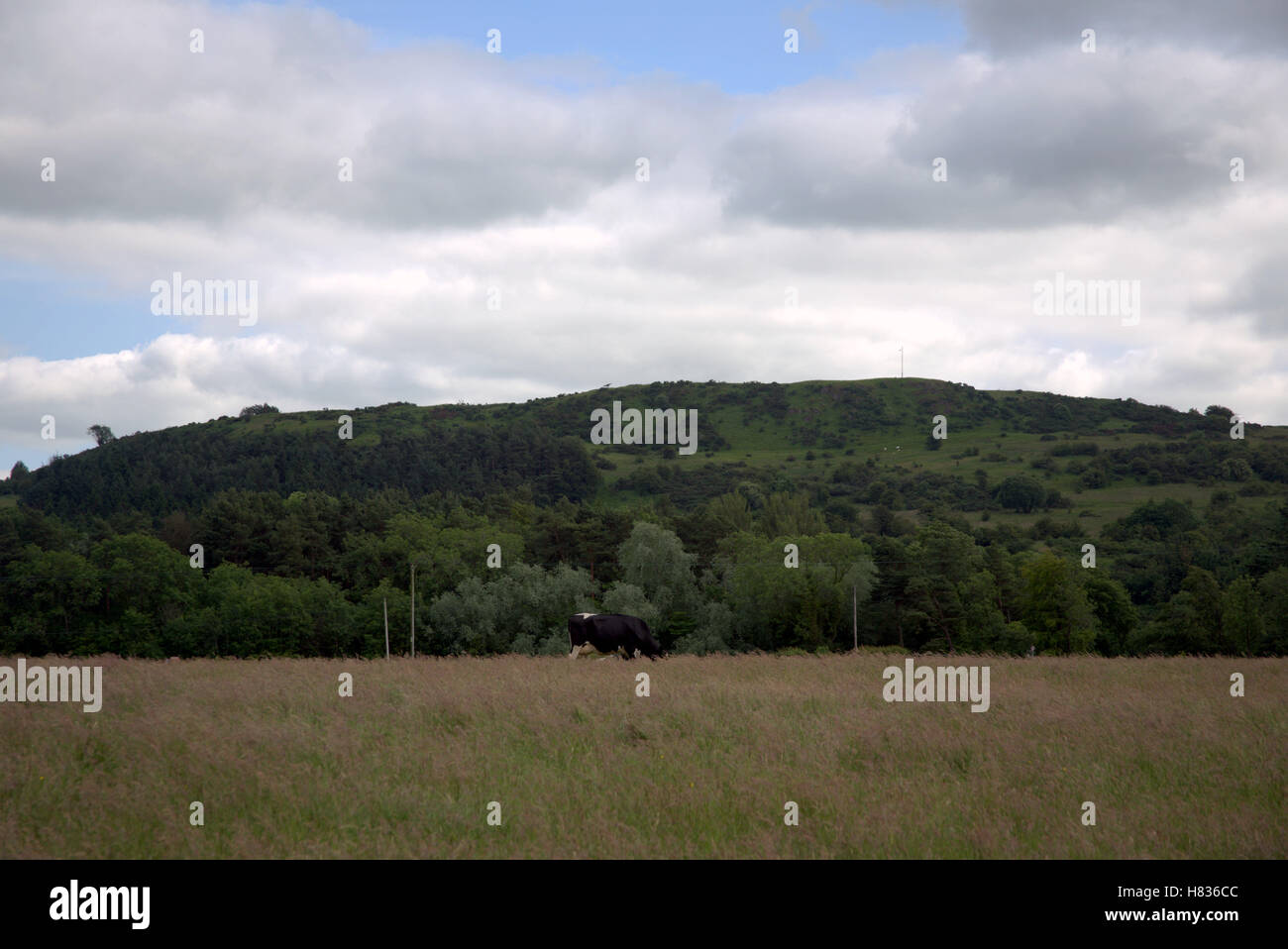 dechmont hill site pd iron age hill fort cambuslang near Glasgow Stock ...