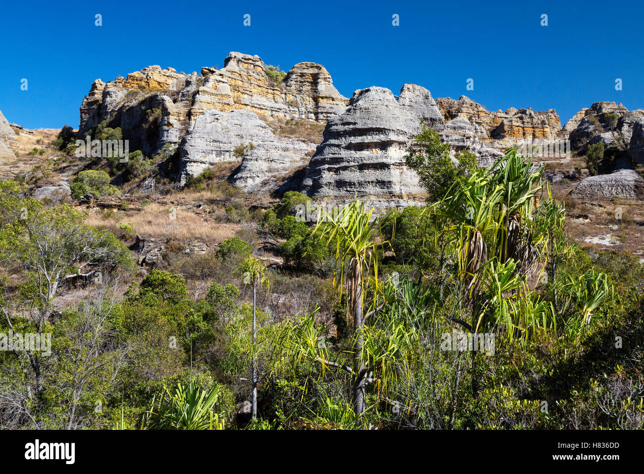 Sandstone rock formations, Isalo National Park, southern Madagascar ...