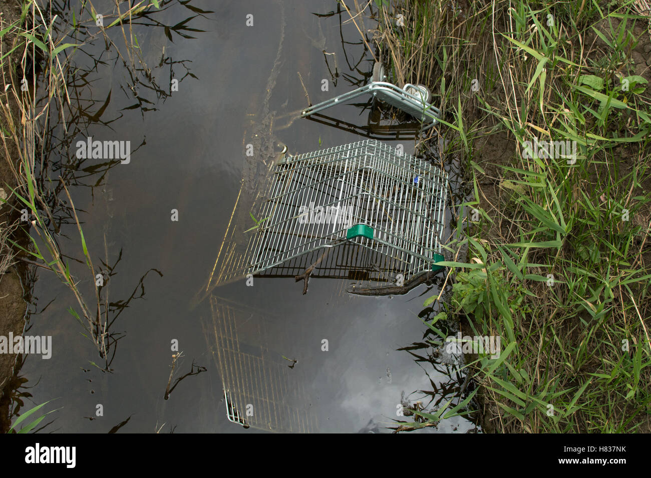 Trolley in drain Stock Photo - Alamy