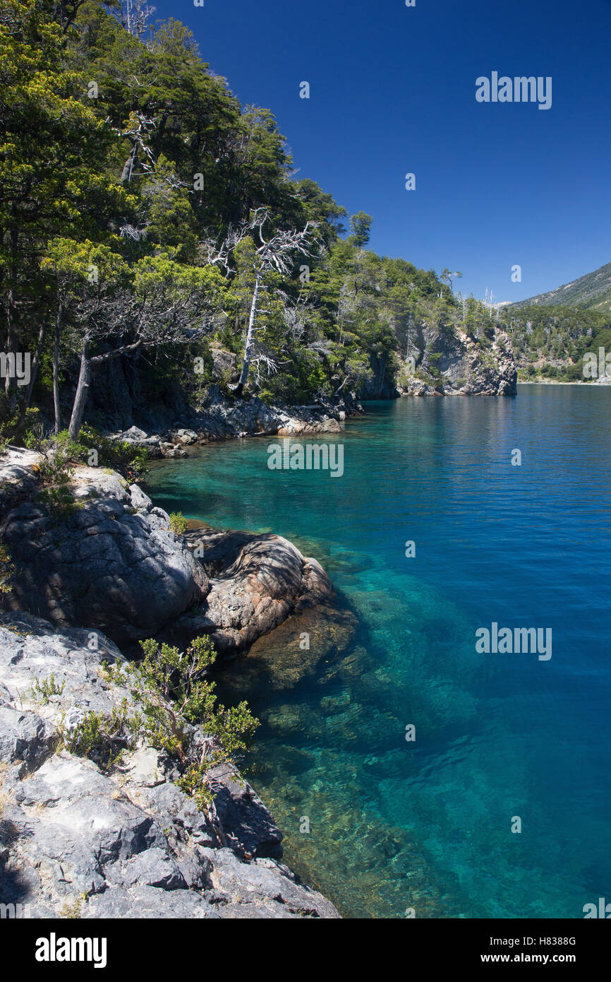 Nahuel Huapi Lake, Bariloche, Argentina Stock Photo - Alamy