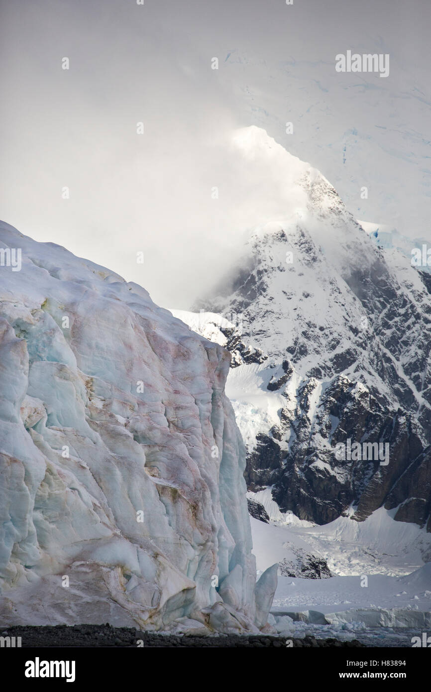Pink and green algae growth on glacier, Gonzalez Videla Antarctic Base ...