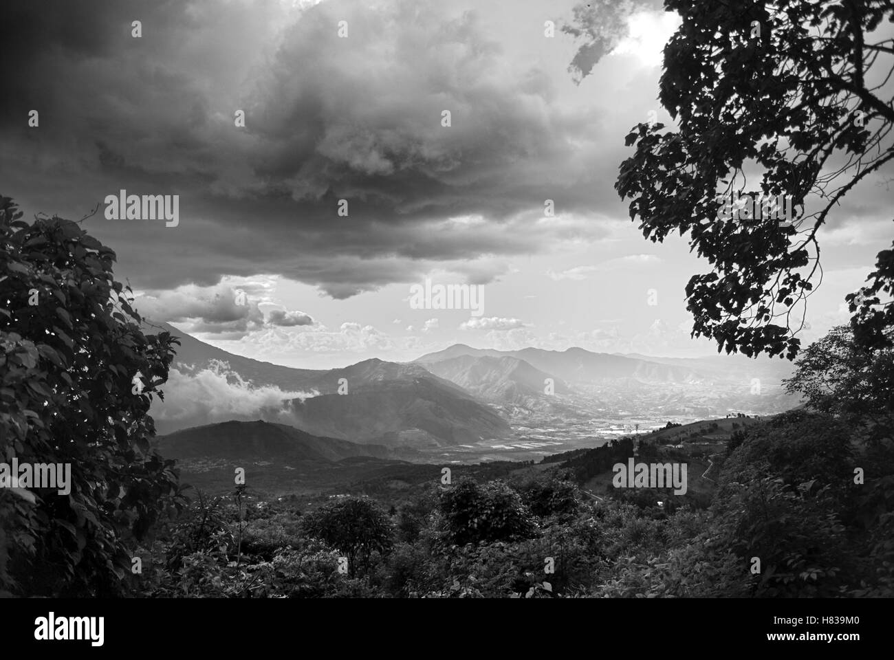 Cloudy landscape with trees and people, nature Stock Photo - Alamy