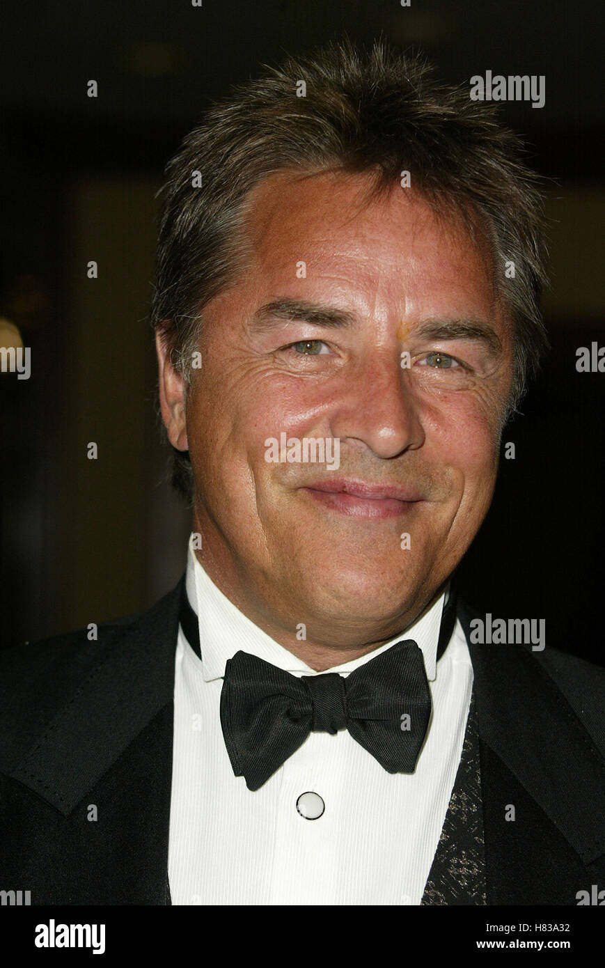 DON JOHNSON 54TH DIRECTORS GUILD AWARDS ARRIVALS CENTURY CITY LOS ...