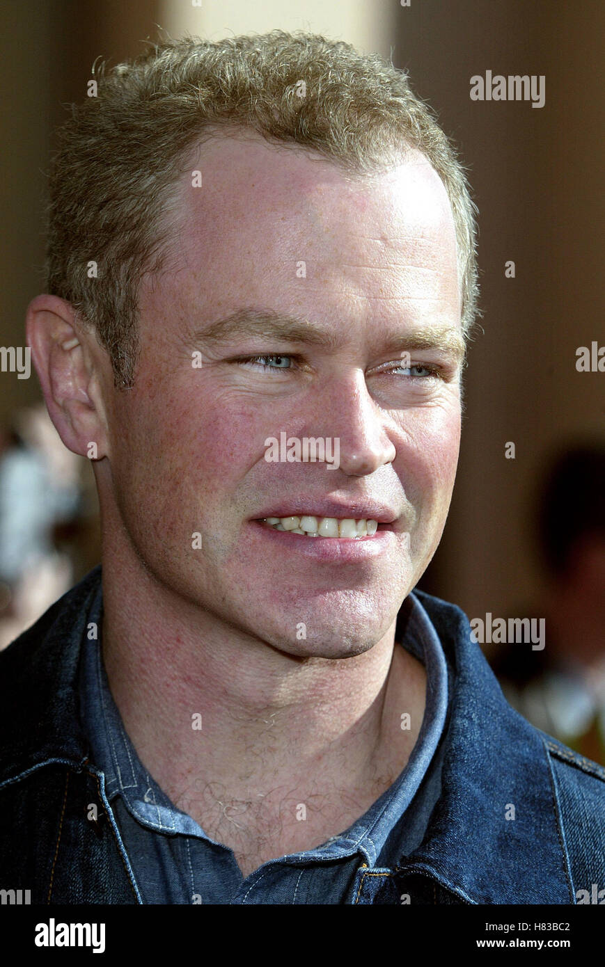 Neal Mcdonough Eyes