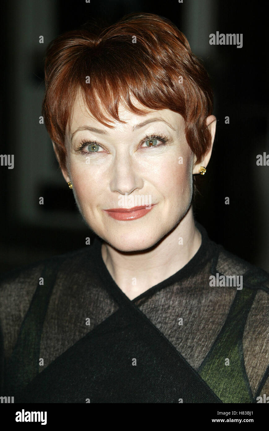 ANN MAGNUSON PANIC ROOM FILM PREMIERE CENTURY CITY LOS ANGELES USA 18 ...