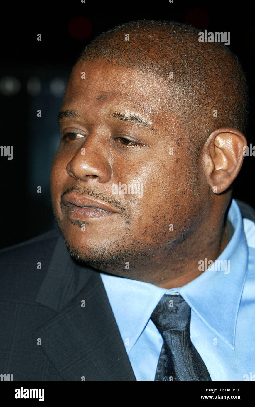 FOREST WHITAKER PANIC ROOM FILM PREMIERE CENTURY CITY LOS ANGELES USA ...