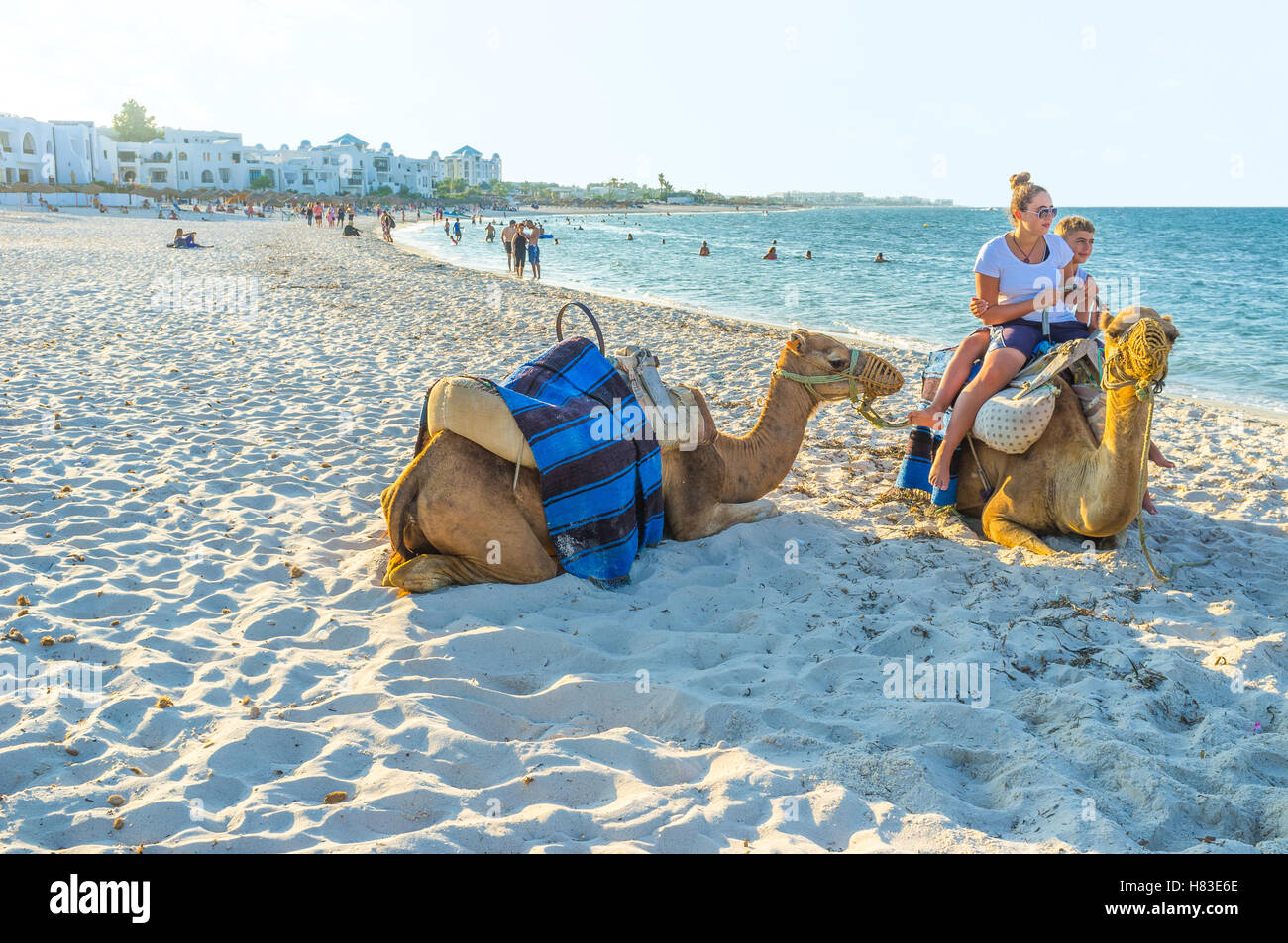 Camel beach resort hi-res stock photography and images - Alamy
