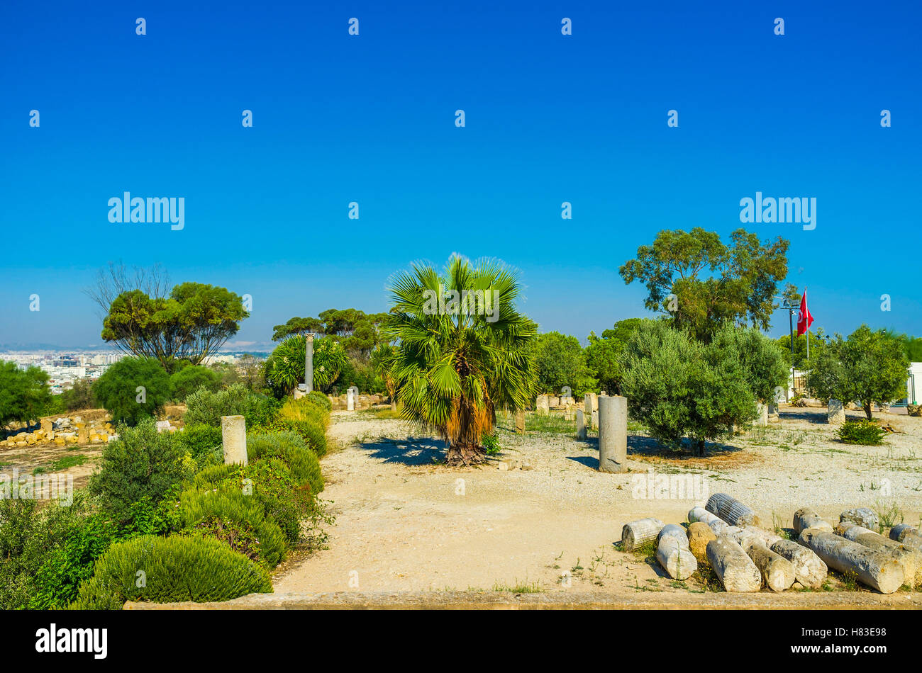 Panorama carthage ruins in archaeological hi-res stock photography and ...