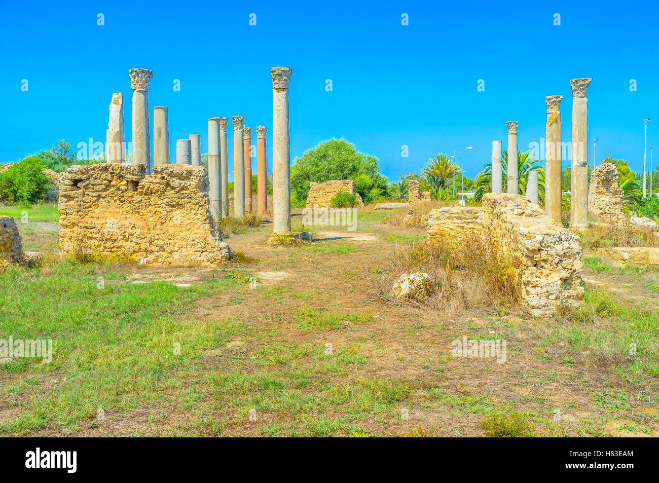 The rows of columns are the preserved part of the Punic temple in ...