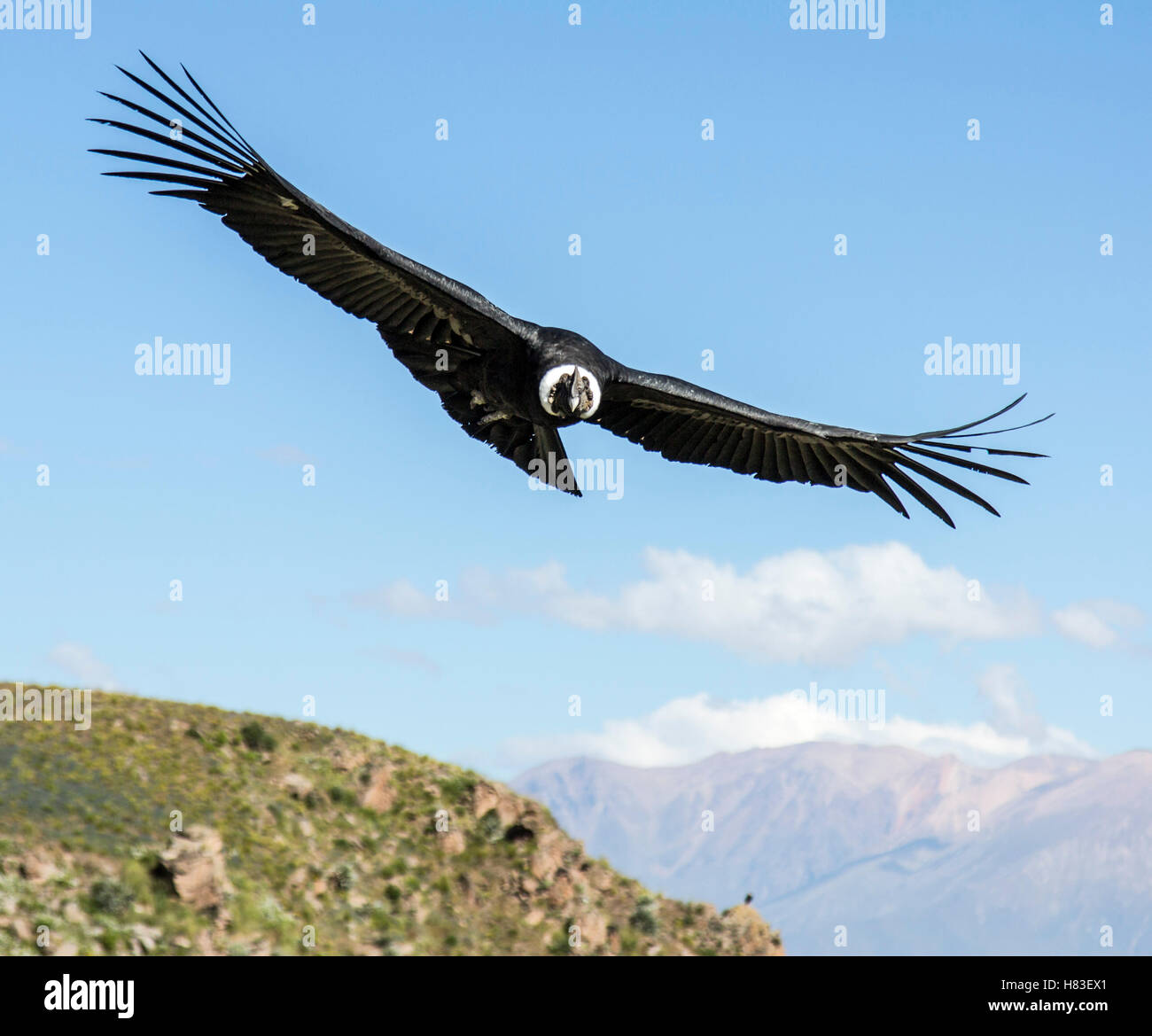 Peruvian mountains hi-res stock photography and images - Alamy