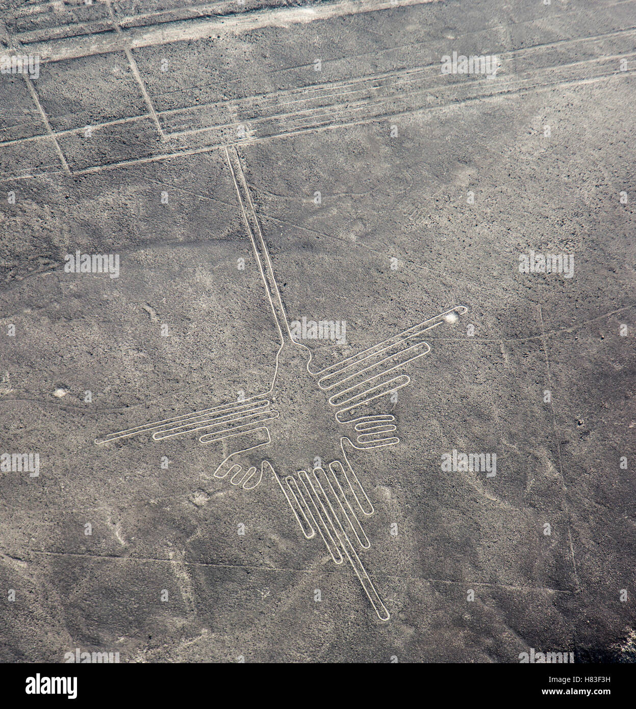 Nazca lines peru hi-res stock photography and images - Alamy