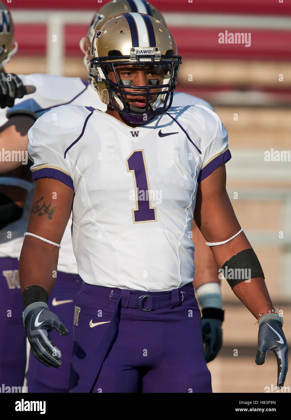 Washington huskies stadium hi-res stock photography and images - Alamy