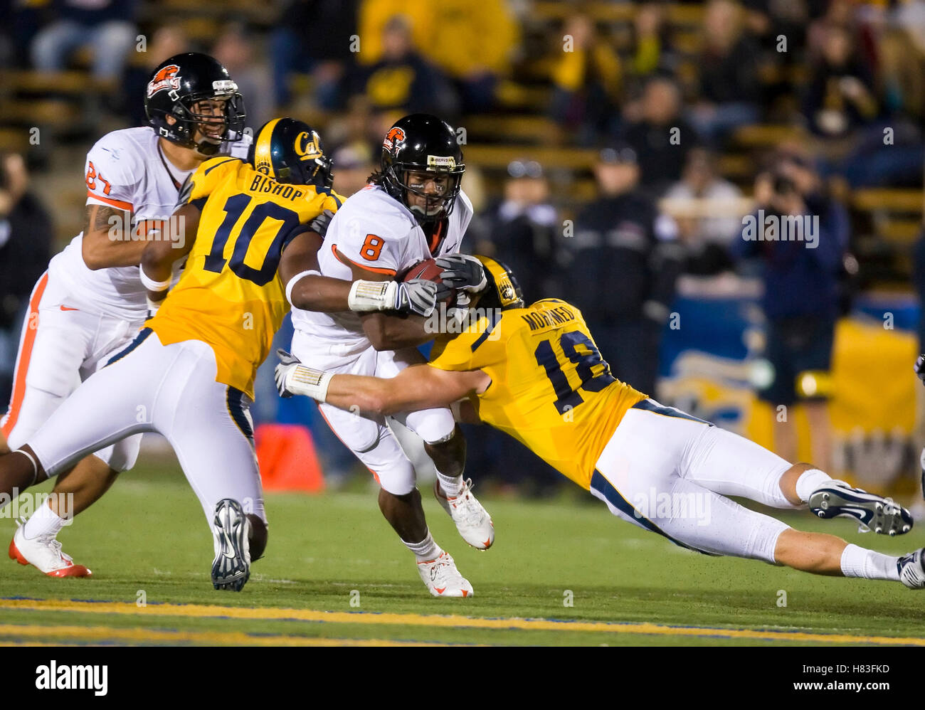 November 7, 2009; Berkeley, CA, USA; Oregon State Beavers wide receiver ...