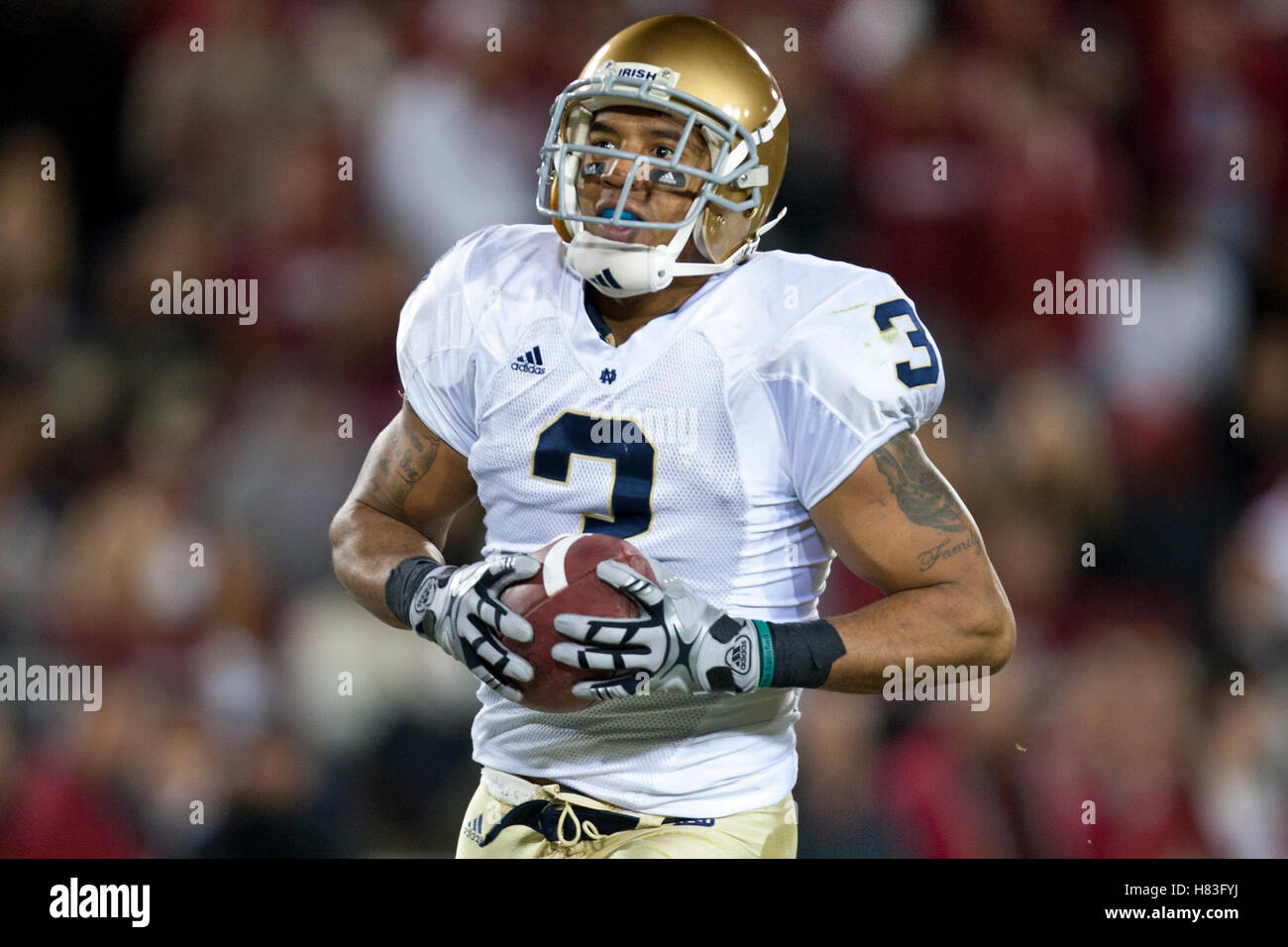 Notre dame fighting irish wide hi-res stock photography and images - Alamy