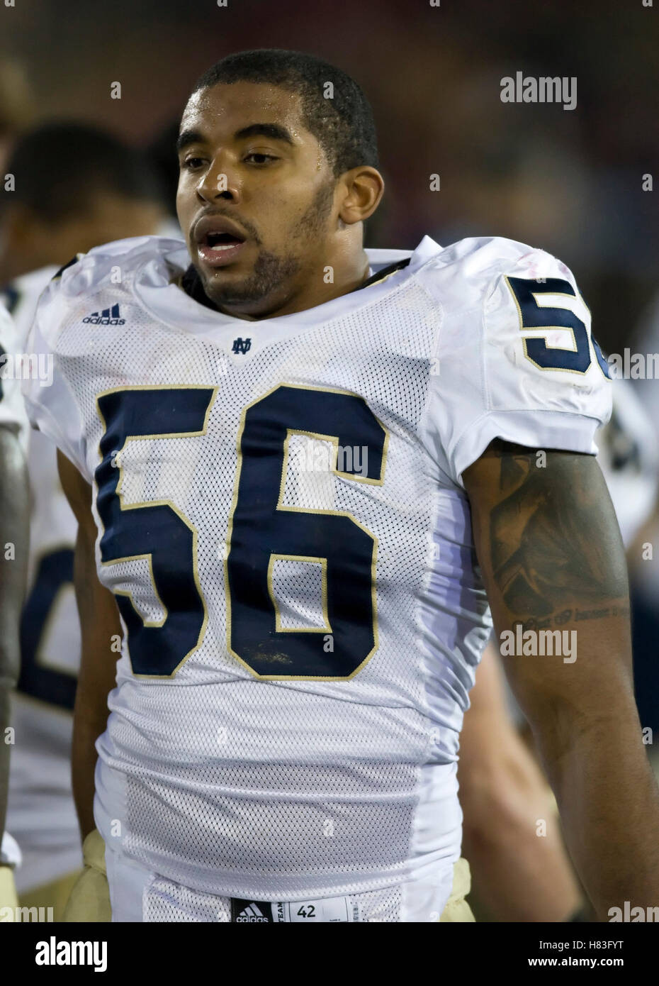 The fighting irish hi-res stock photography and images - Alamy