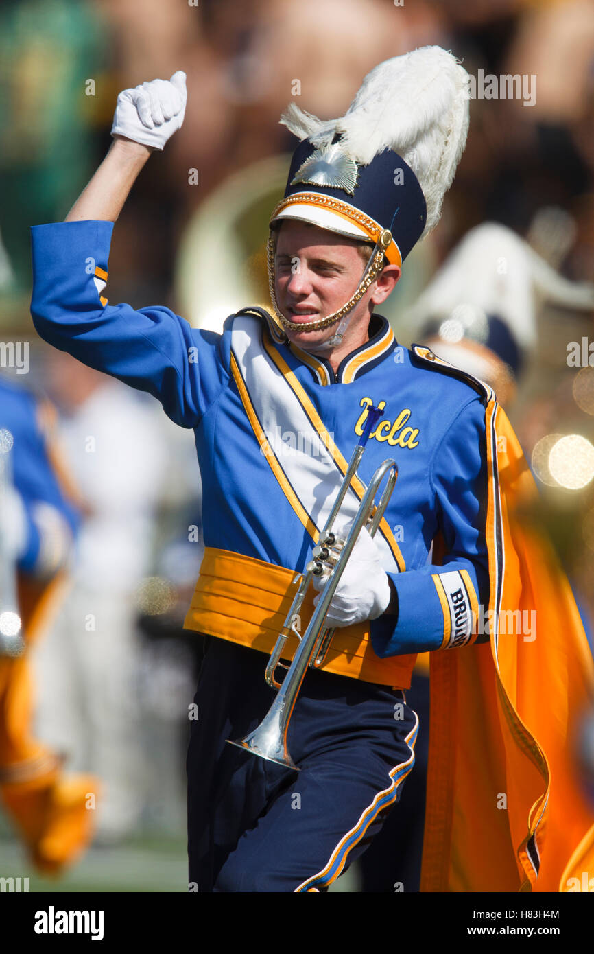 Marching bears hi-res stock photography and images - Alamy