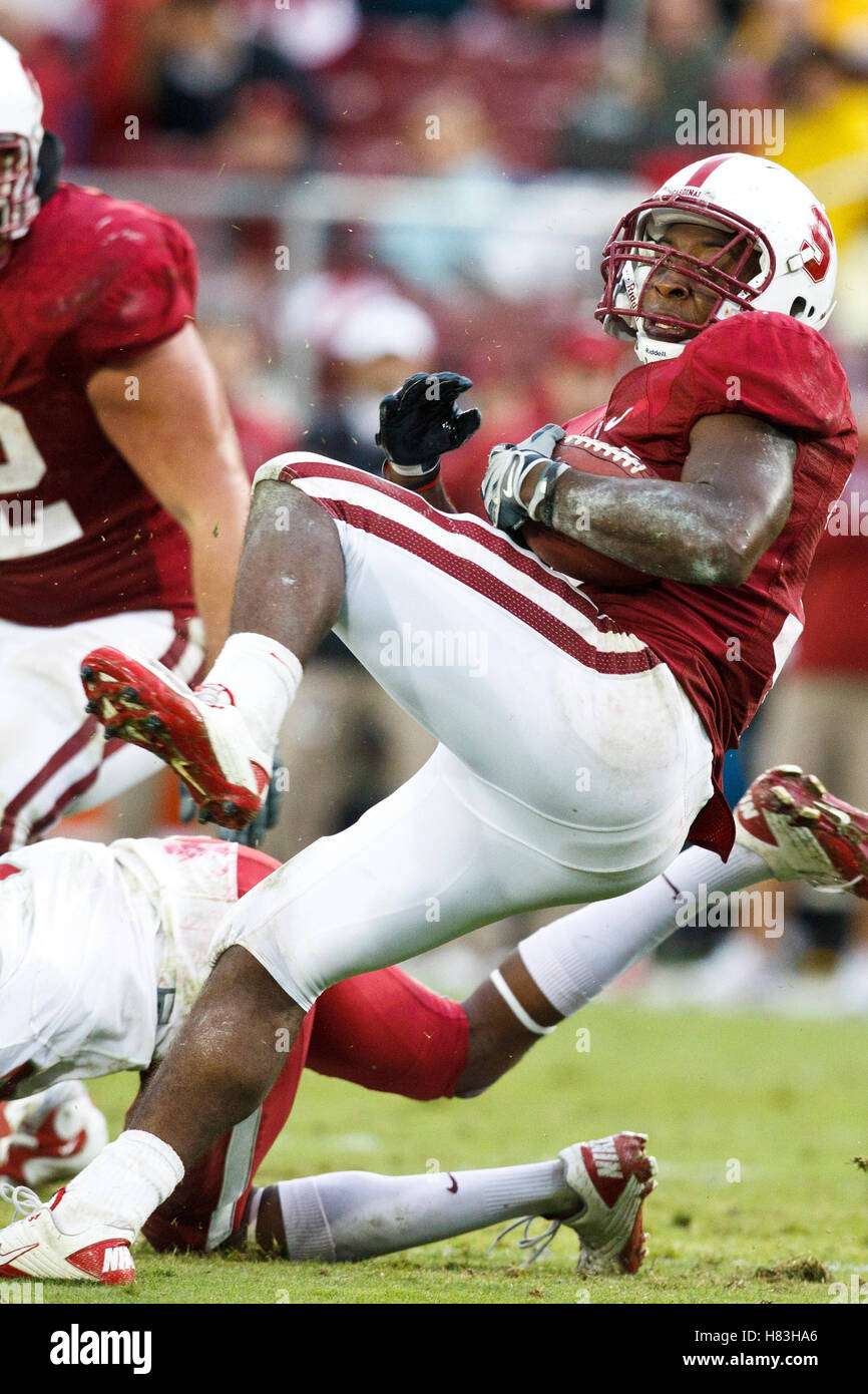 Jason taylor football player hi-res stock photography and images - Alamy