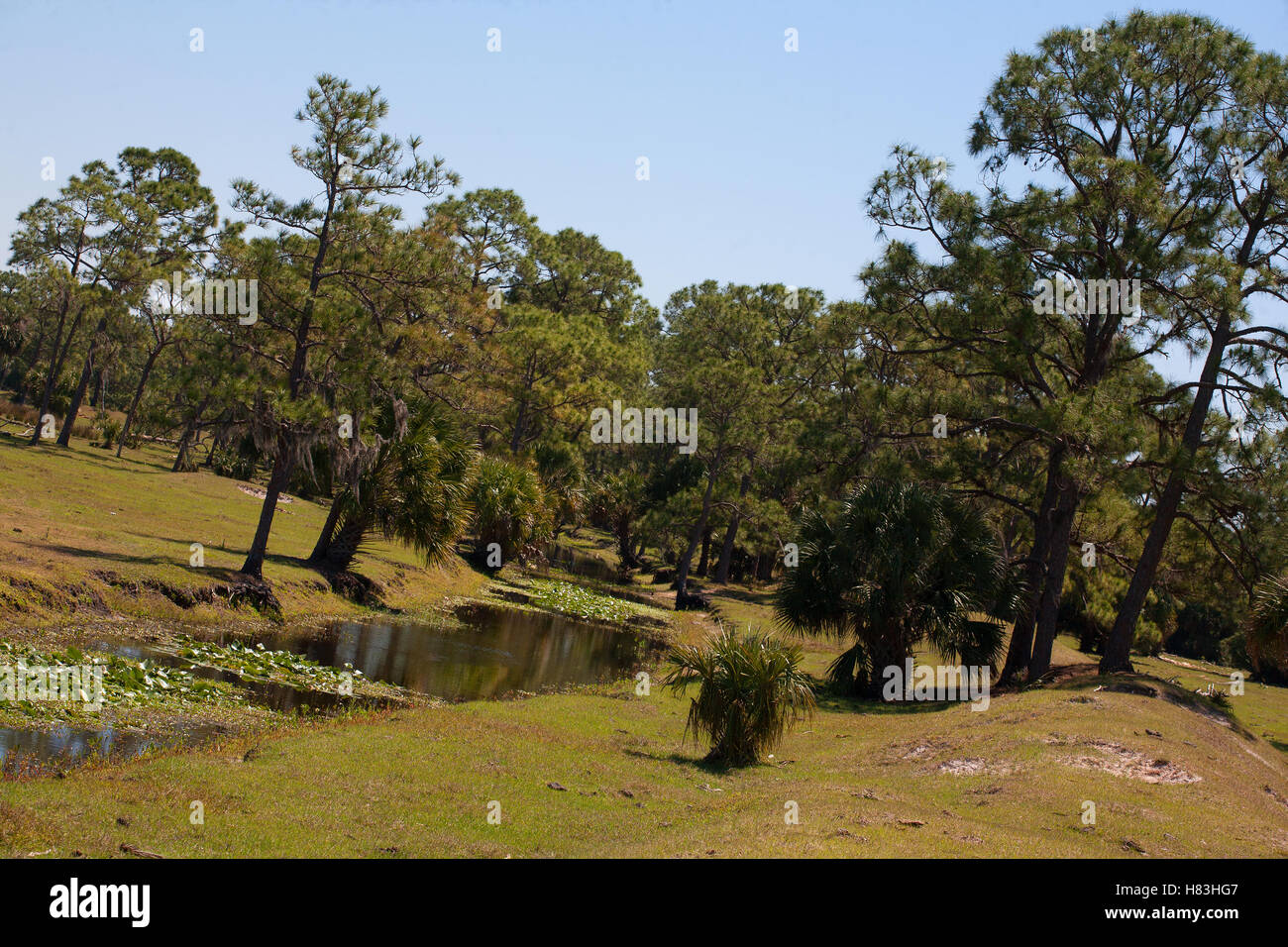 Coursing through hi-res stock photography and images - Alamy