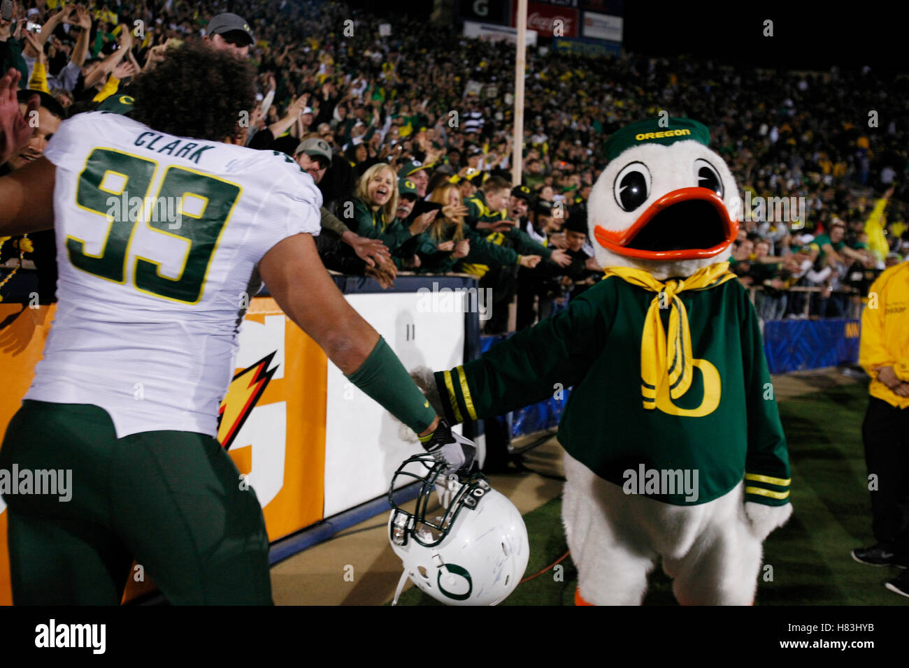 Oregon ducks mascot hi-res stock photography and images - Alamy