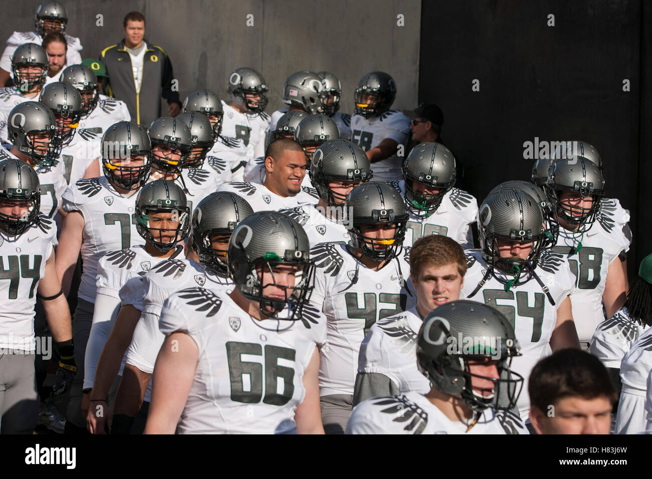 Oregon ducks football stadium hi-res stock photography and images - Alamy