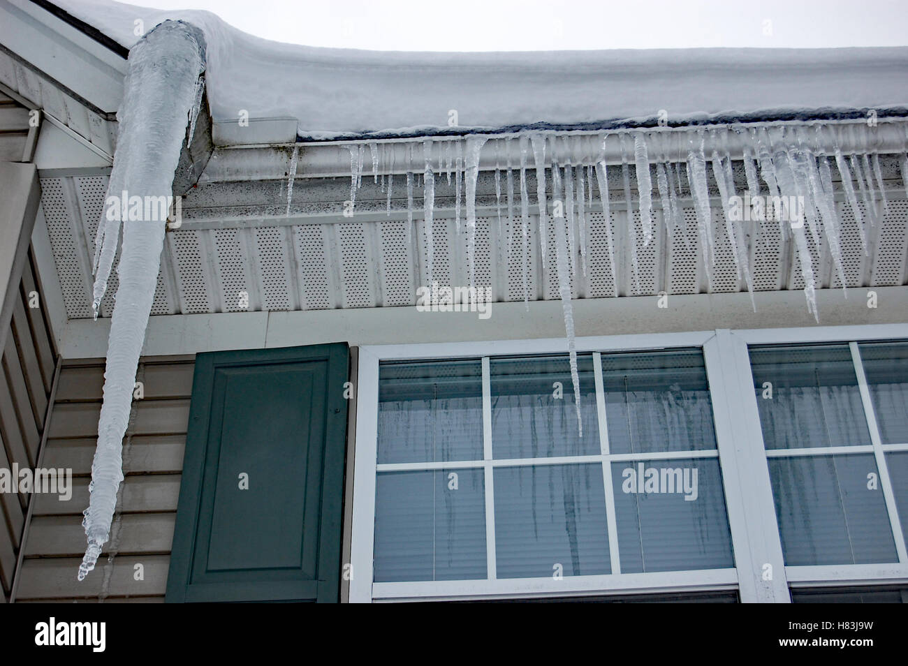 thick icicle hanging from the roof Stock Photo - Alamy