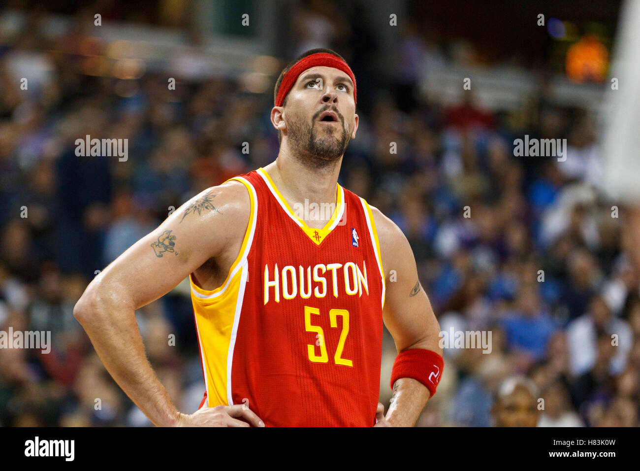 Brad Miller Cornrows