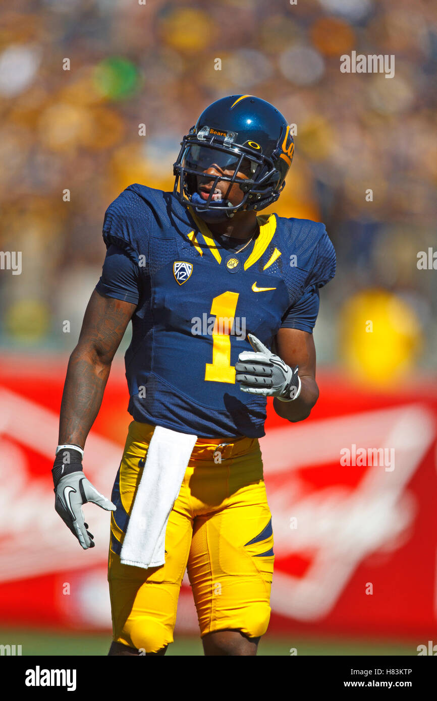 Steve williams hi-res stock photography and images - Alamy