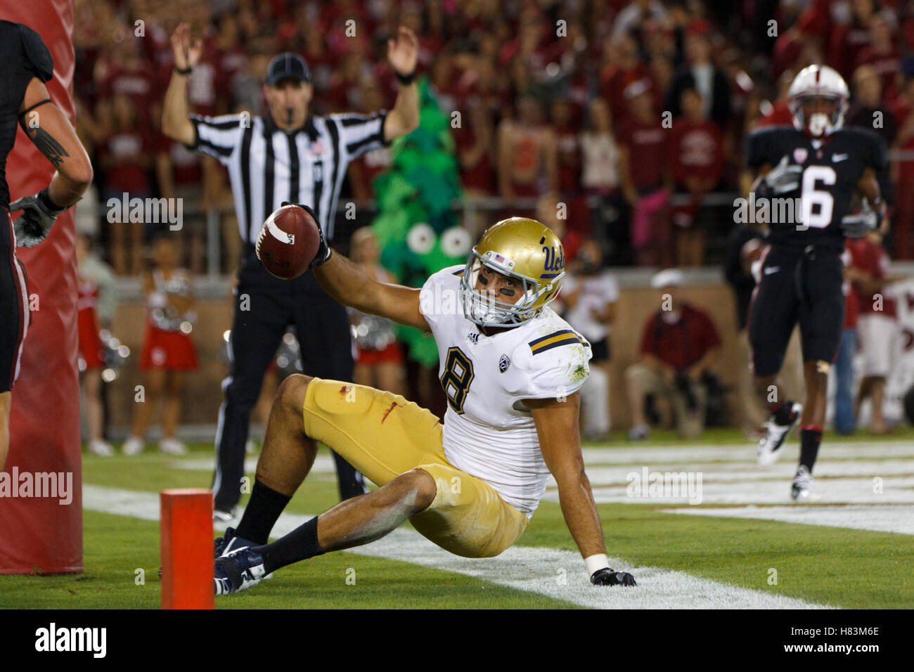 Fauria hi-res stock photography and images - Alamy