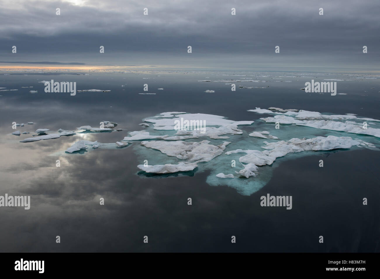 Floating ice floe on ocean, Wrangel Island, Russia Stock Photo - Alamy