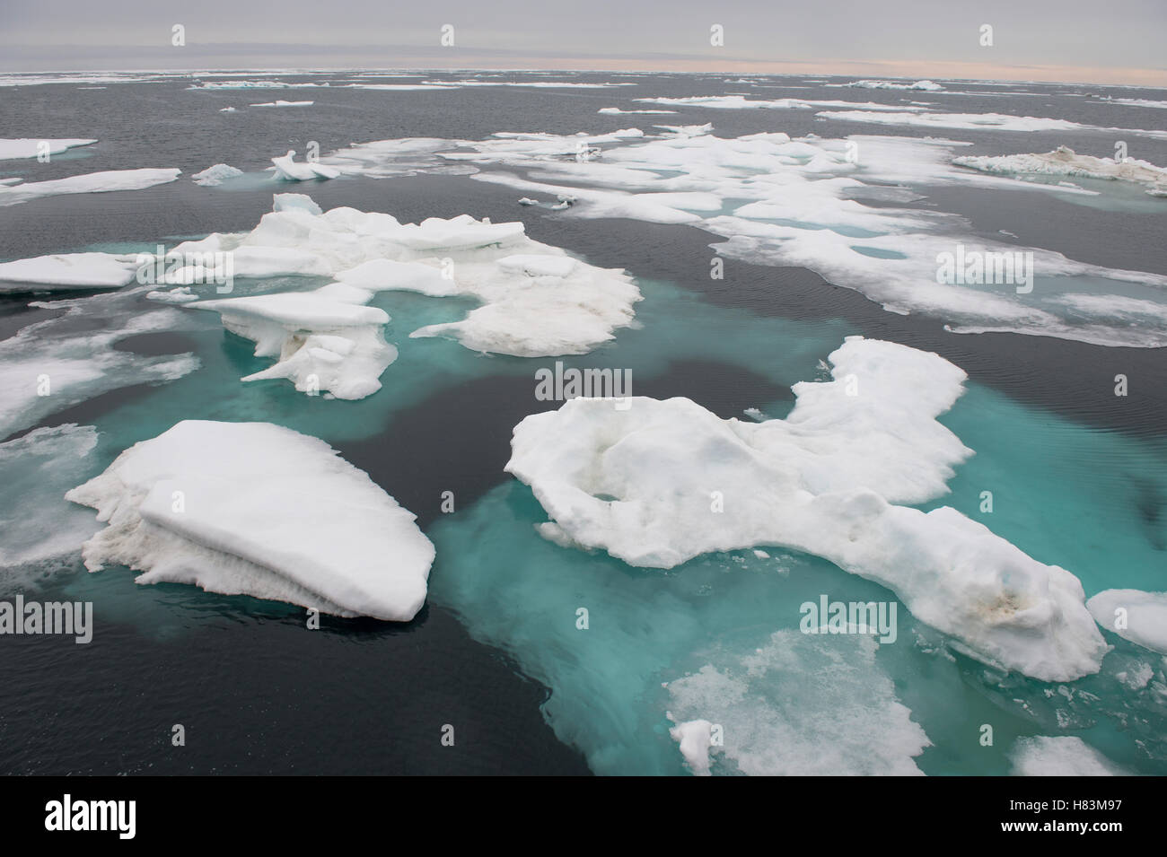 Floating ice floes on ocean surface, Wrangel Island, Russia Stock Photo ...